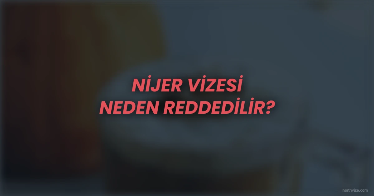 Nijer Vizesi Nasıl Alınır 2026 | Northvize